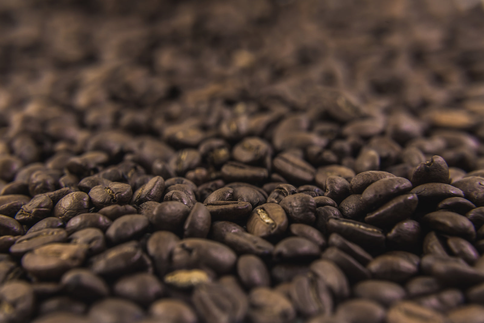 Buy Coffee Beans Online Australia | Freshly Roasted – My Coffee Shop