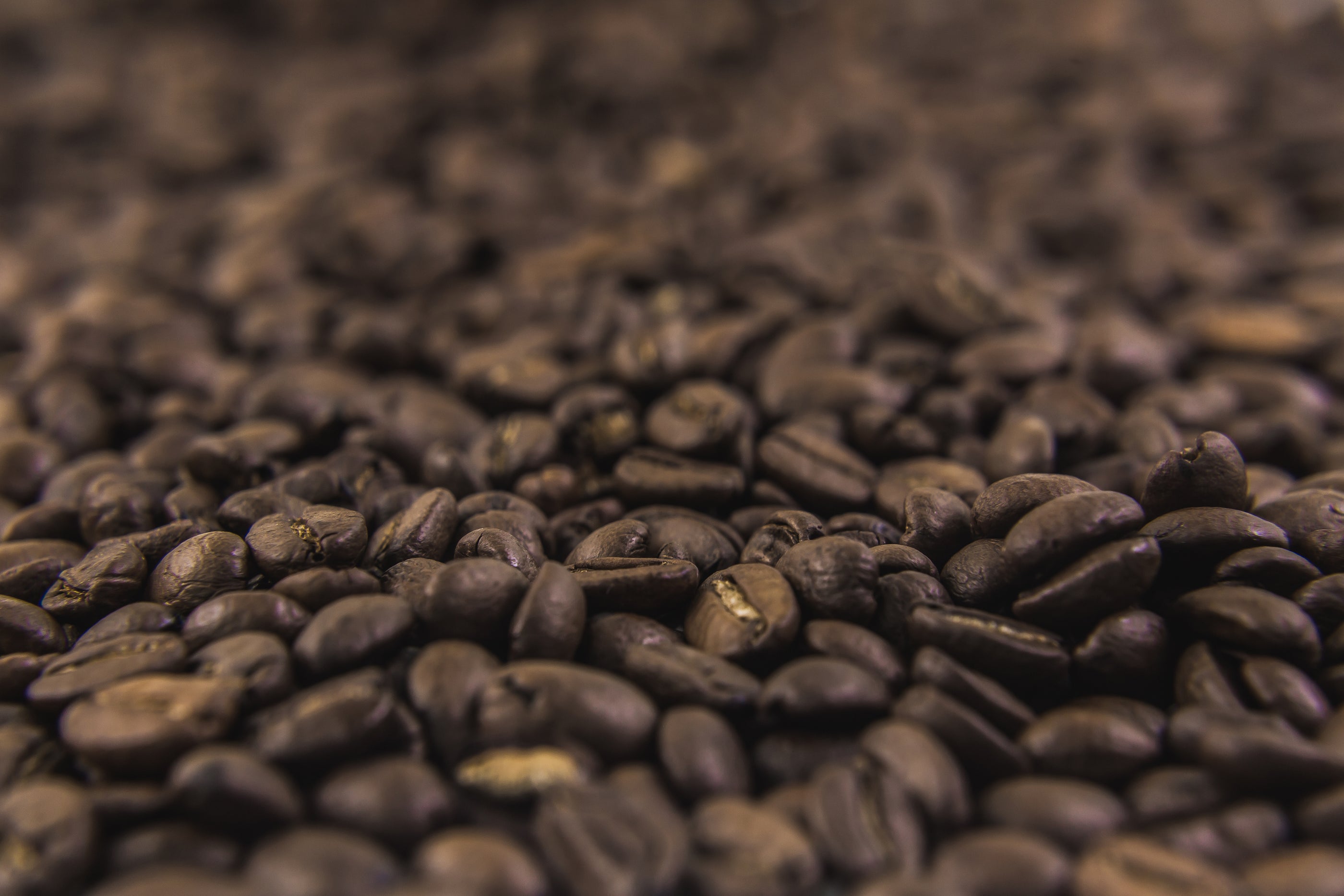 Buy Coffee Beans Online Australia | Freshly Roasted – My Coffee Shop